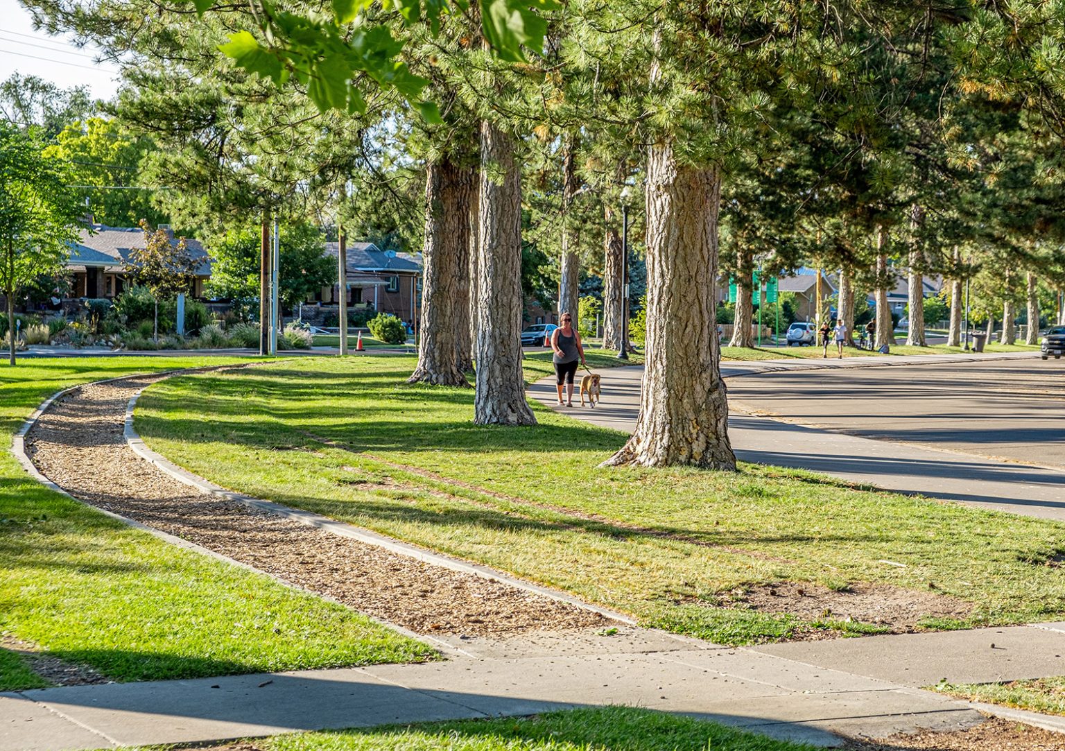 ADA Self Evaluation and Transition Plan | Mayor's Office of Access ...