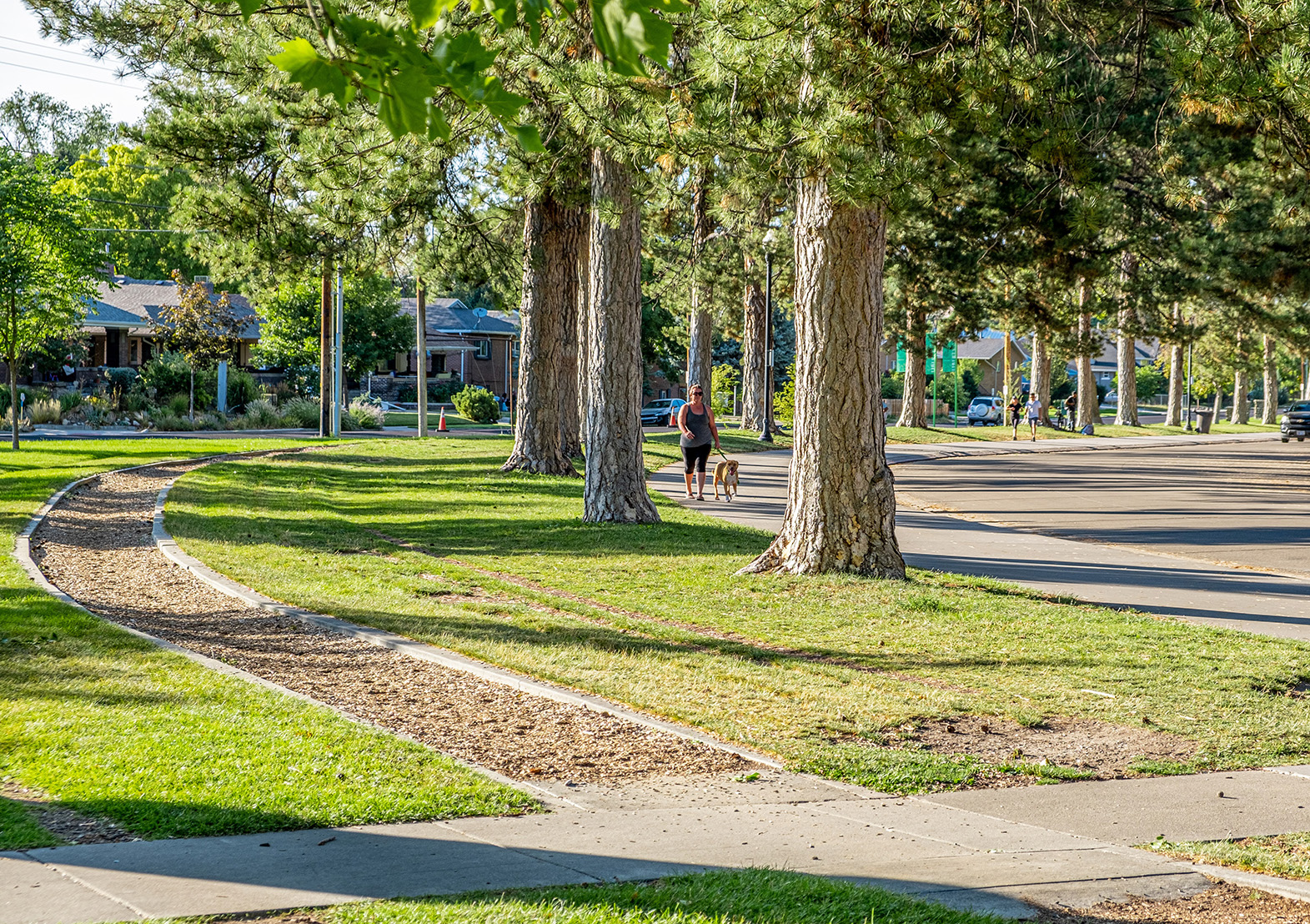 ADA Self Evaluation and Transition Plan | Mayor's Office of Access ...