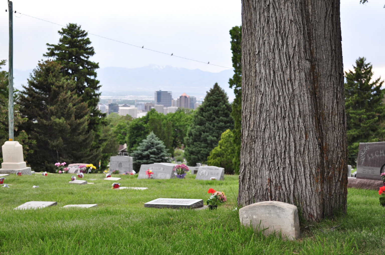 Cemetery | Cemetery@slc.gov