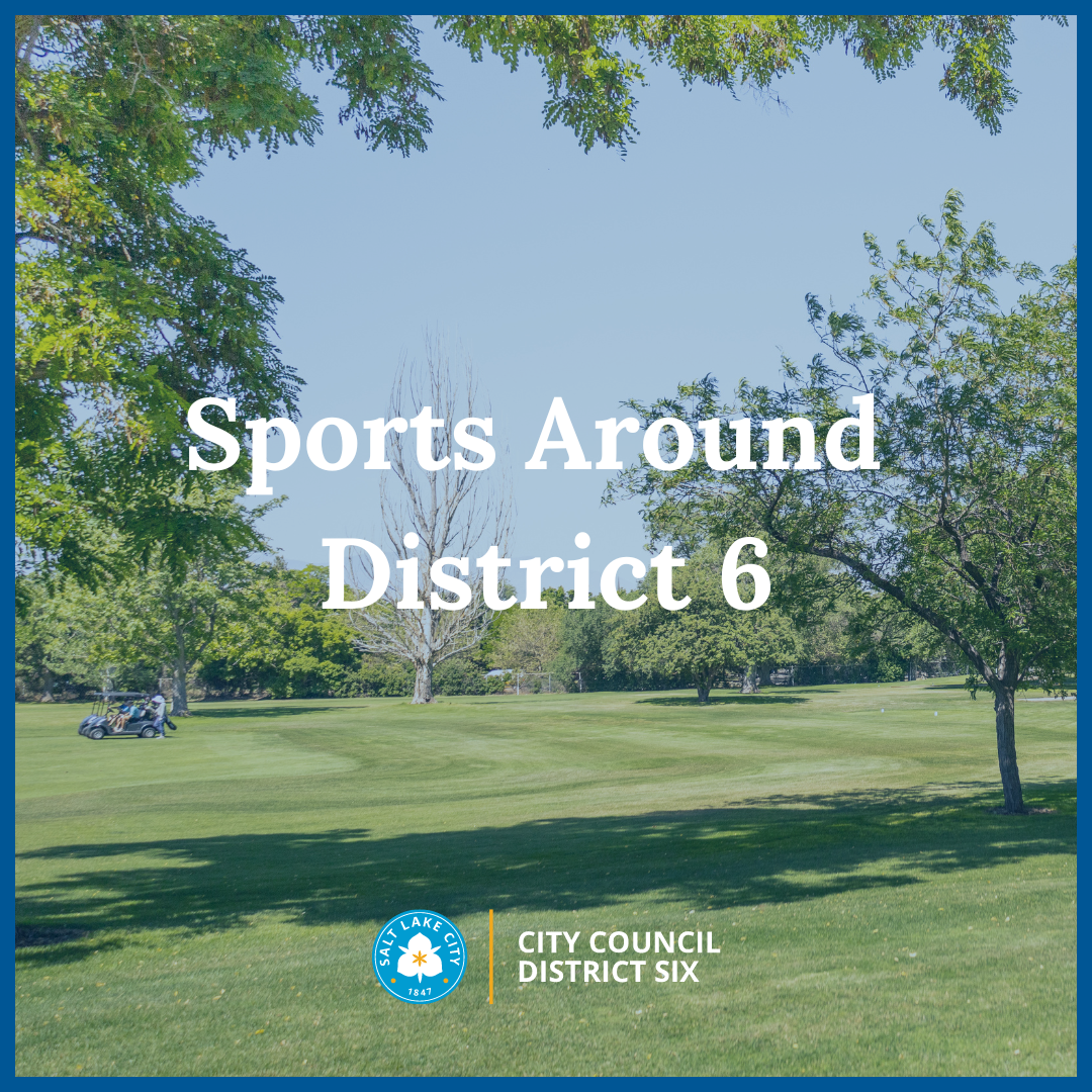 Sports Around District Six | Council District 6