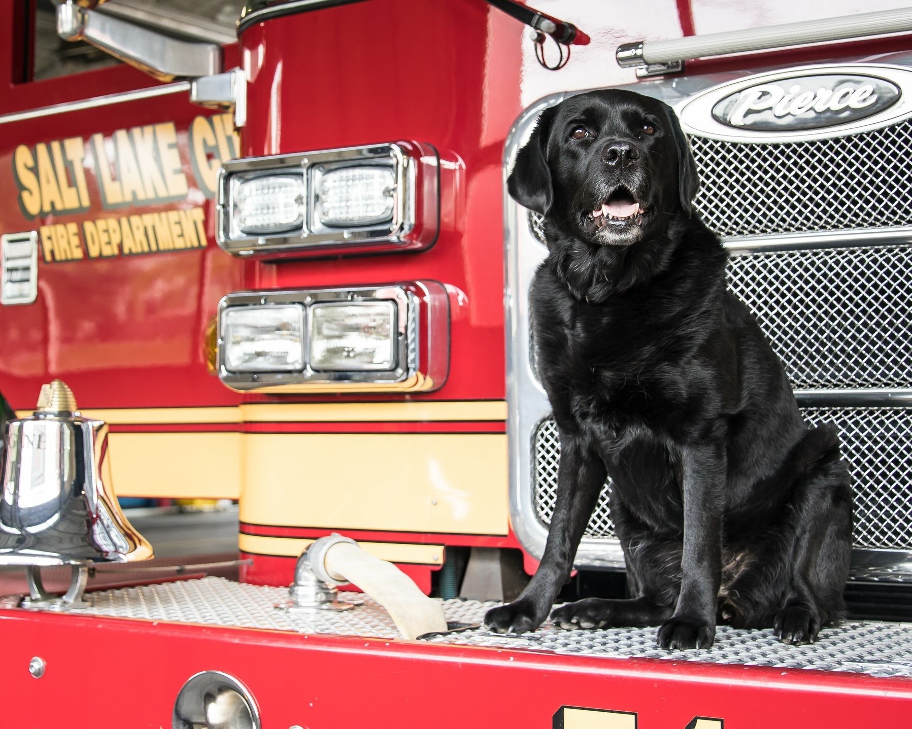 Firefighting Jobs Dos | Fire Department