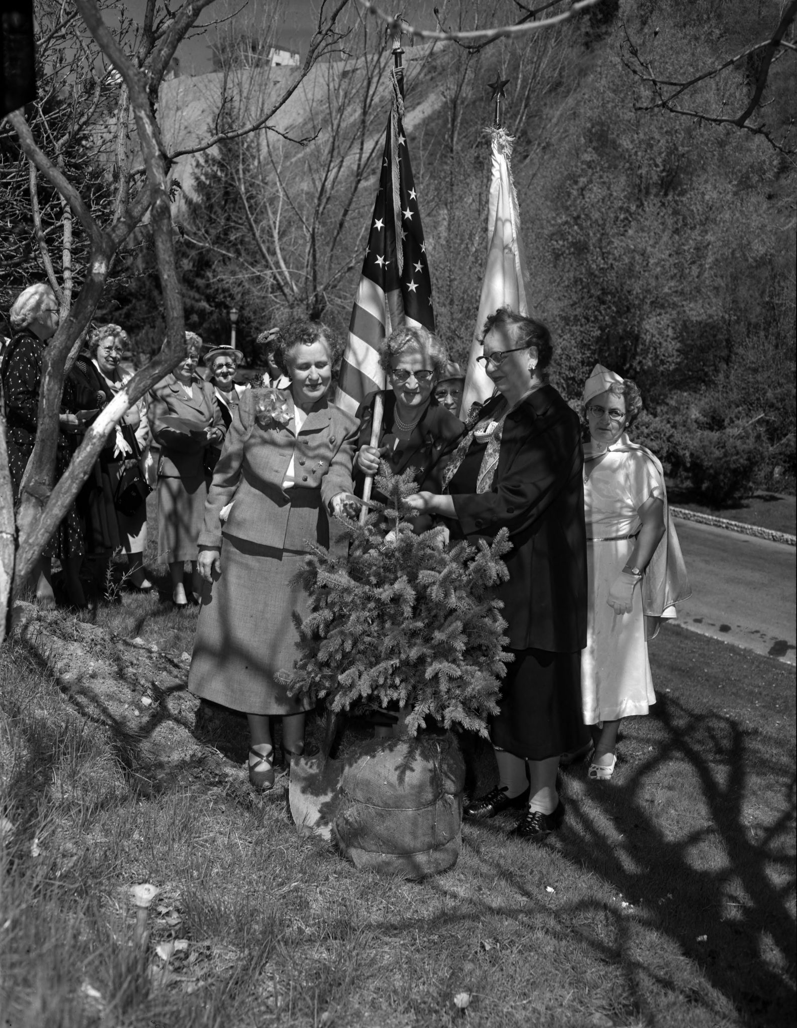 Memory Grove | Public Lands Department