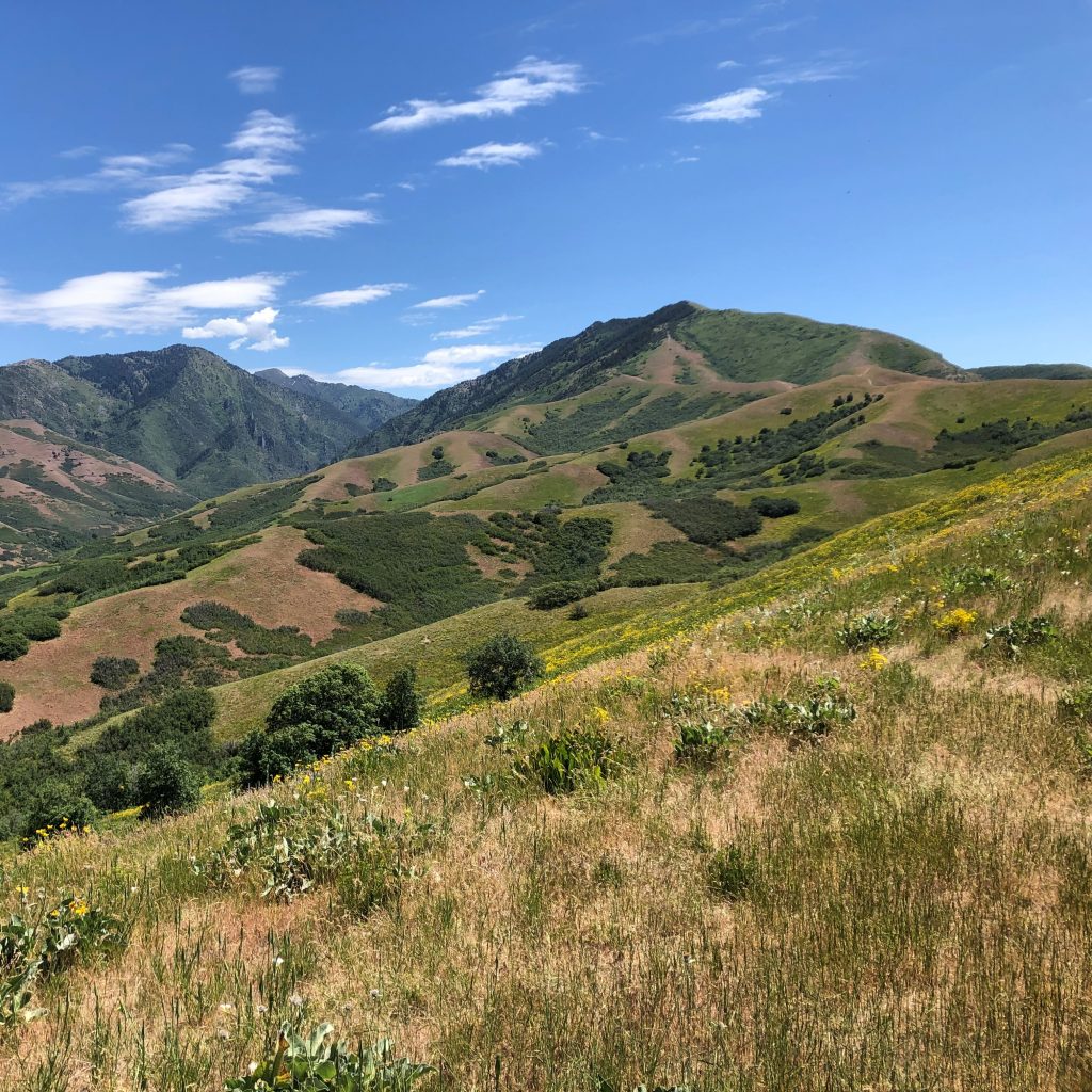 Salt Lake City Foothills Trail System | Public Lands Department