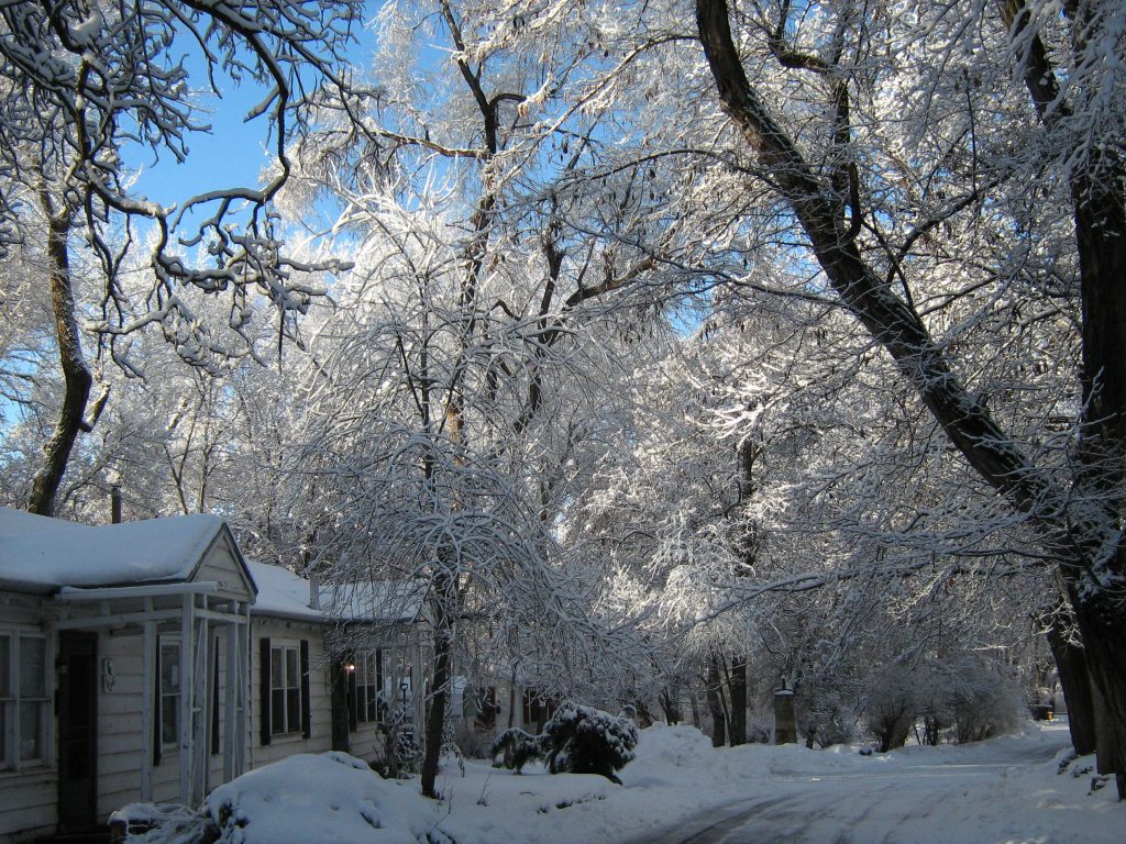 Allen Park | Public Lands Department