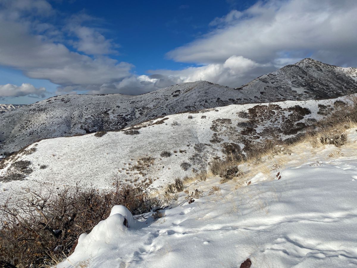 Trail Updates in the Foothills Natural Area | Public Lands Department