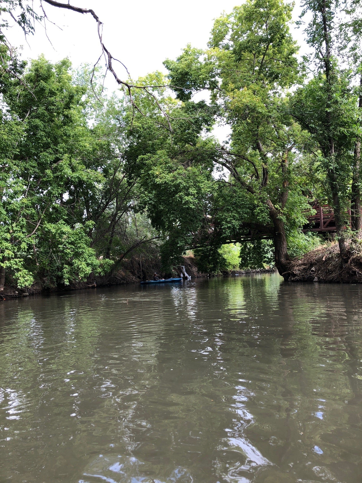 Jordan River Water Trail Tree & Debris Removal | Public Lands Department