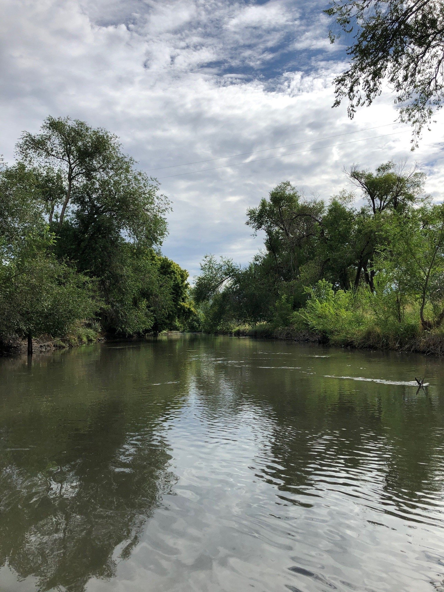 Jordan River Water Trail Tree & Debris Removal | Public Lands Department
