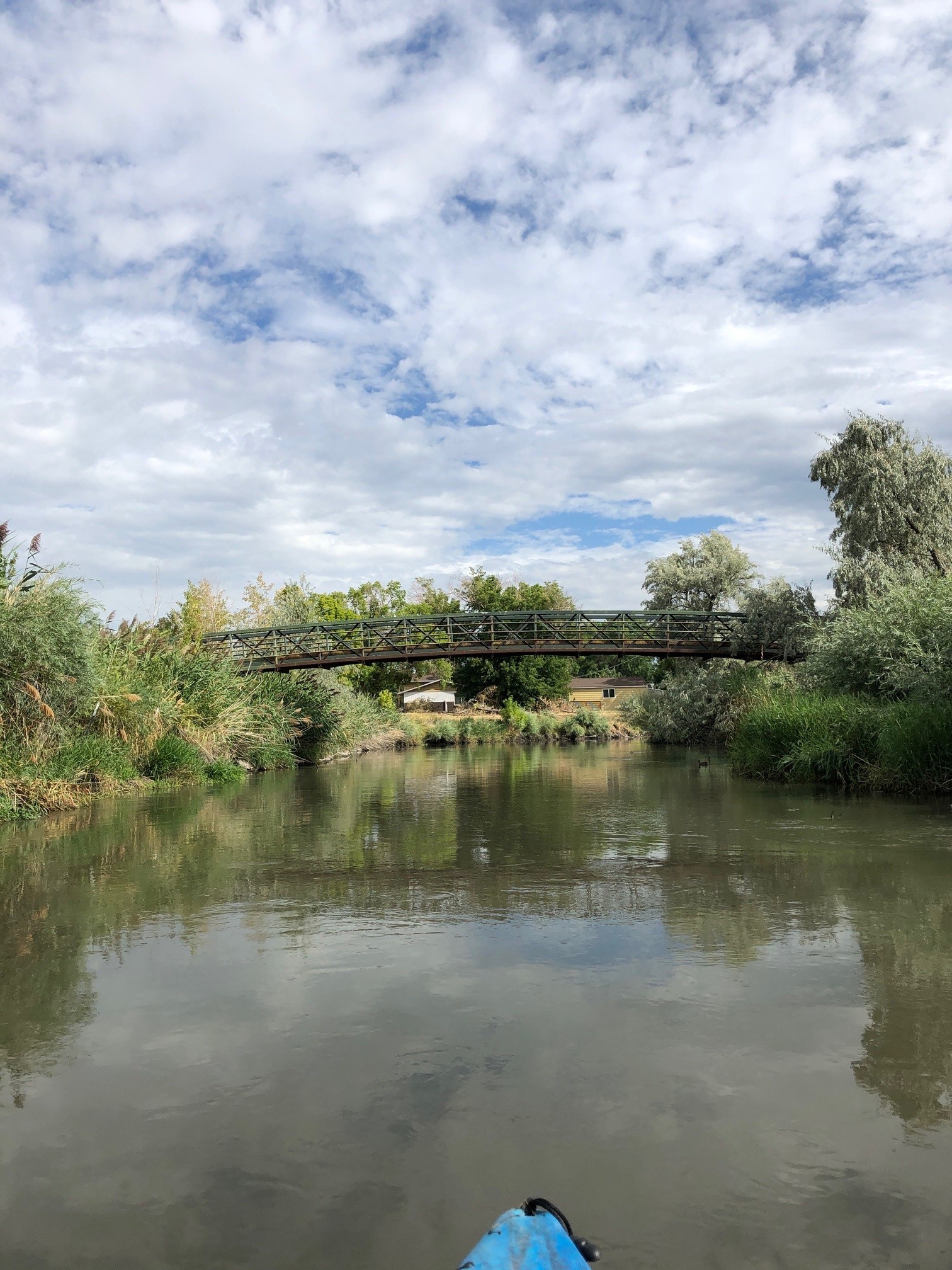 Jordan River Water Trail Tree & Debris Removal | Public Lands Department