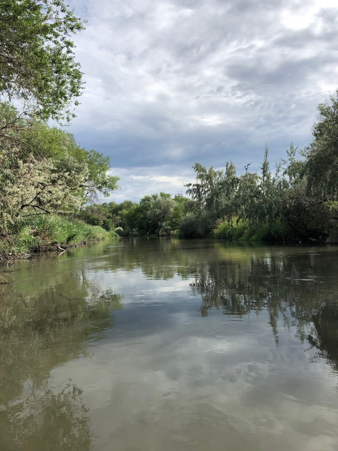 Jordan River Water Trail Tree & Debris Removal | Public Lands Department