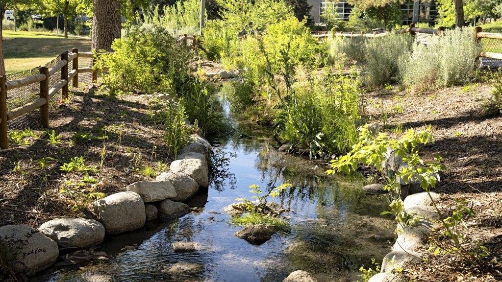 Fairmont Park Stream Access & Beautification | Public Lands Department
