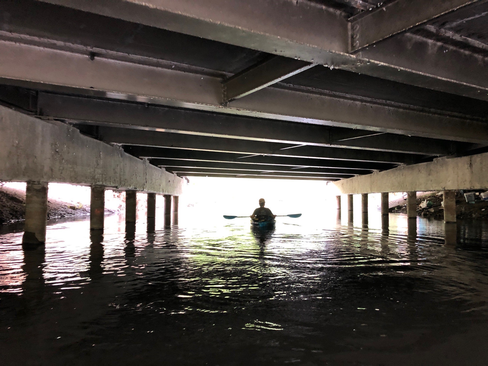 Jordan River Water Trail Tree & Debris Removal | Public Lands Department