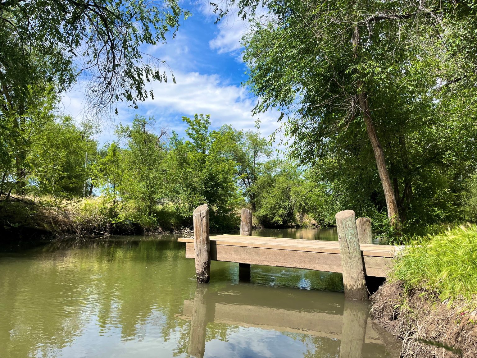 Emerald Ribbon Action Plan | Public Lands Department