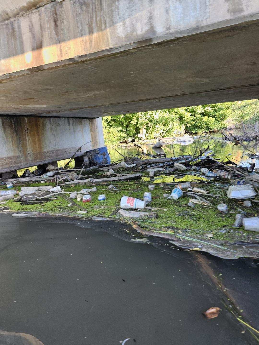 Jordan River Water Trail Tree & Debris Removal | Public Lands Department