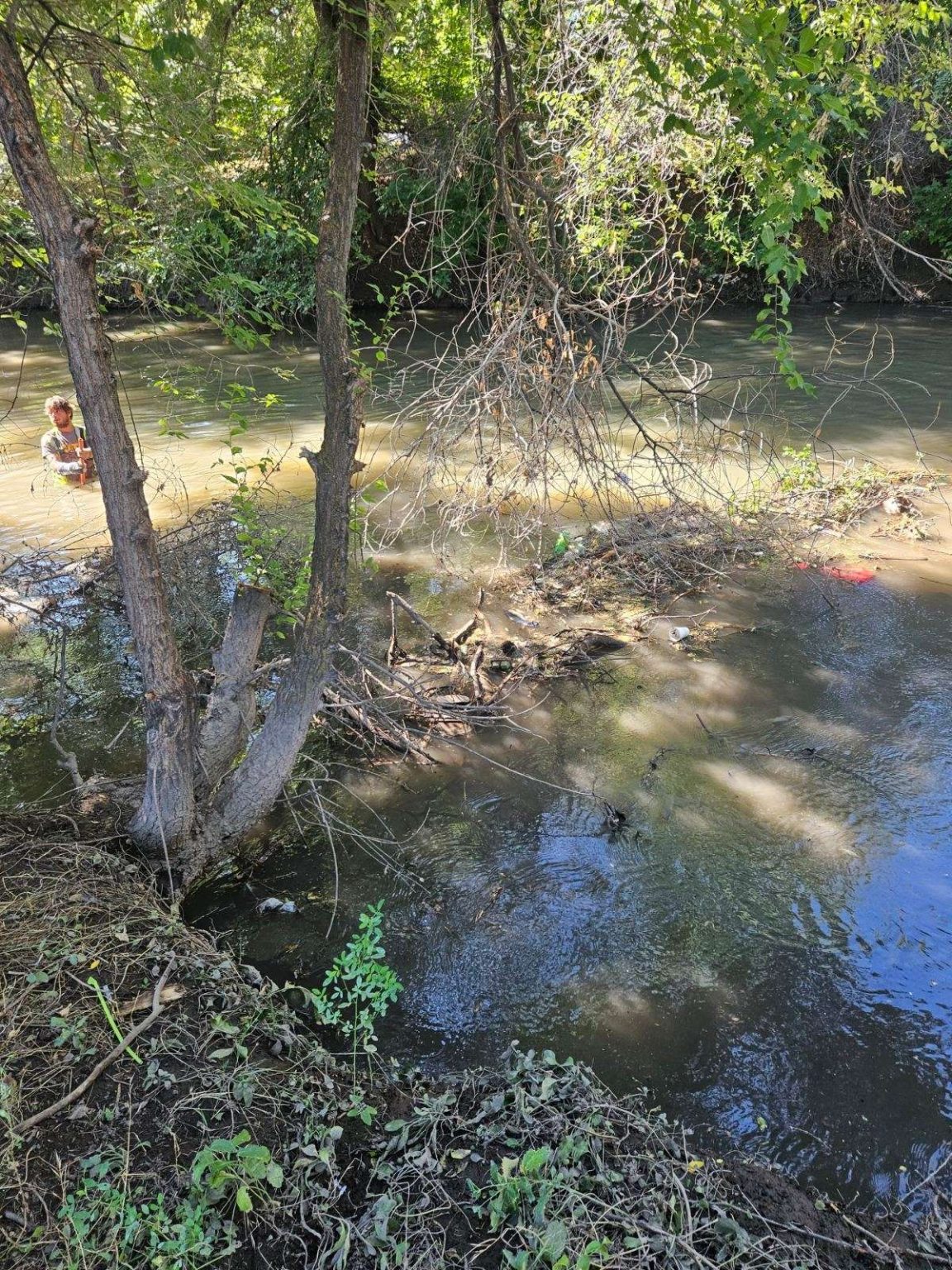 Jordan River Water Trail Tree & Debris Removal | Public Lands Department