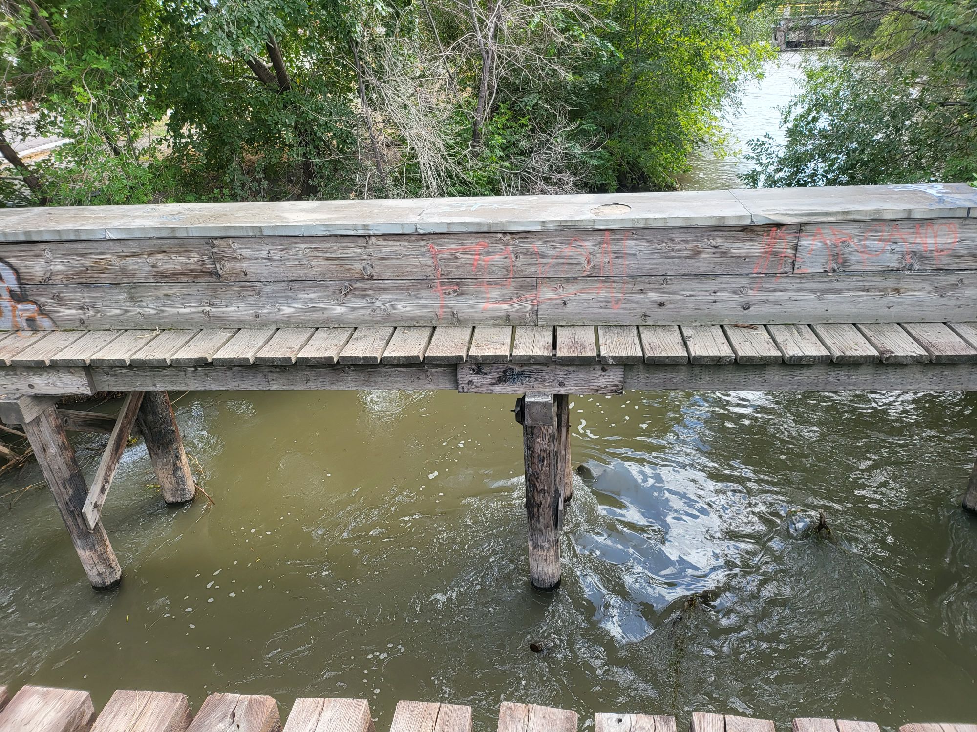 Jordan River Water Trail Tree & Debris Removal | Public Lands Department