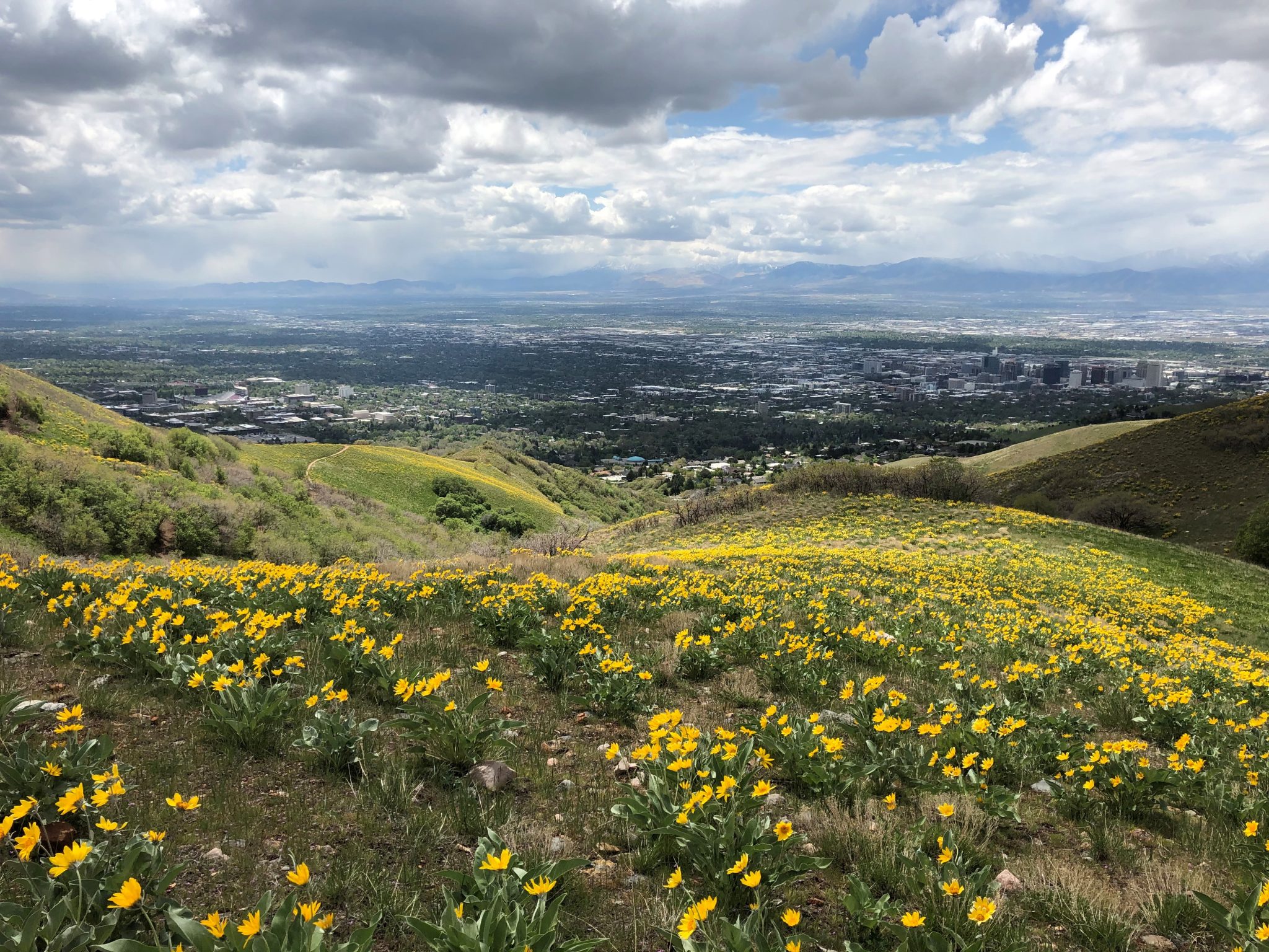Salt Lake City Foothills Trail System | Public Lands Department