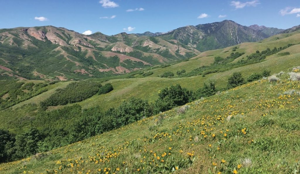 Salt Lake City Foothills Projects | Public Lands Department