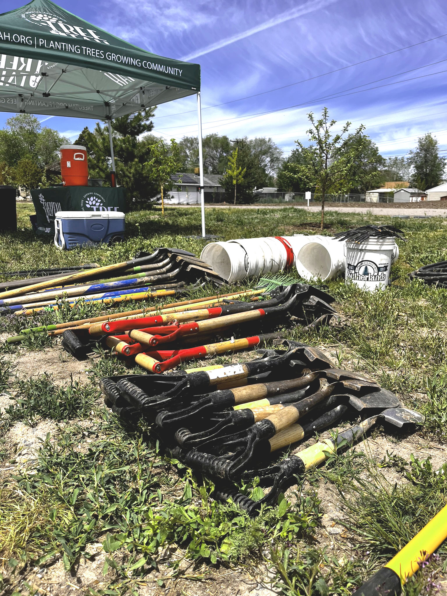 9line Community Orchard | Public Lands Department