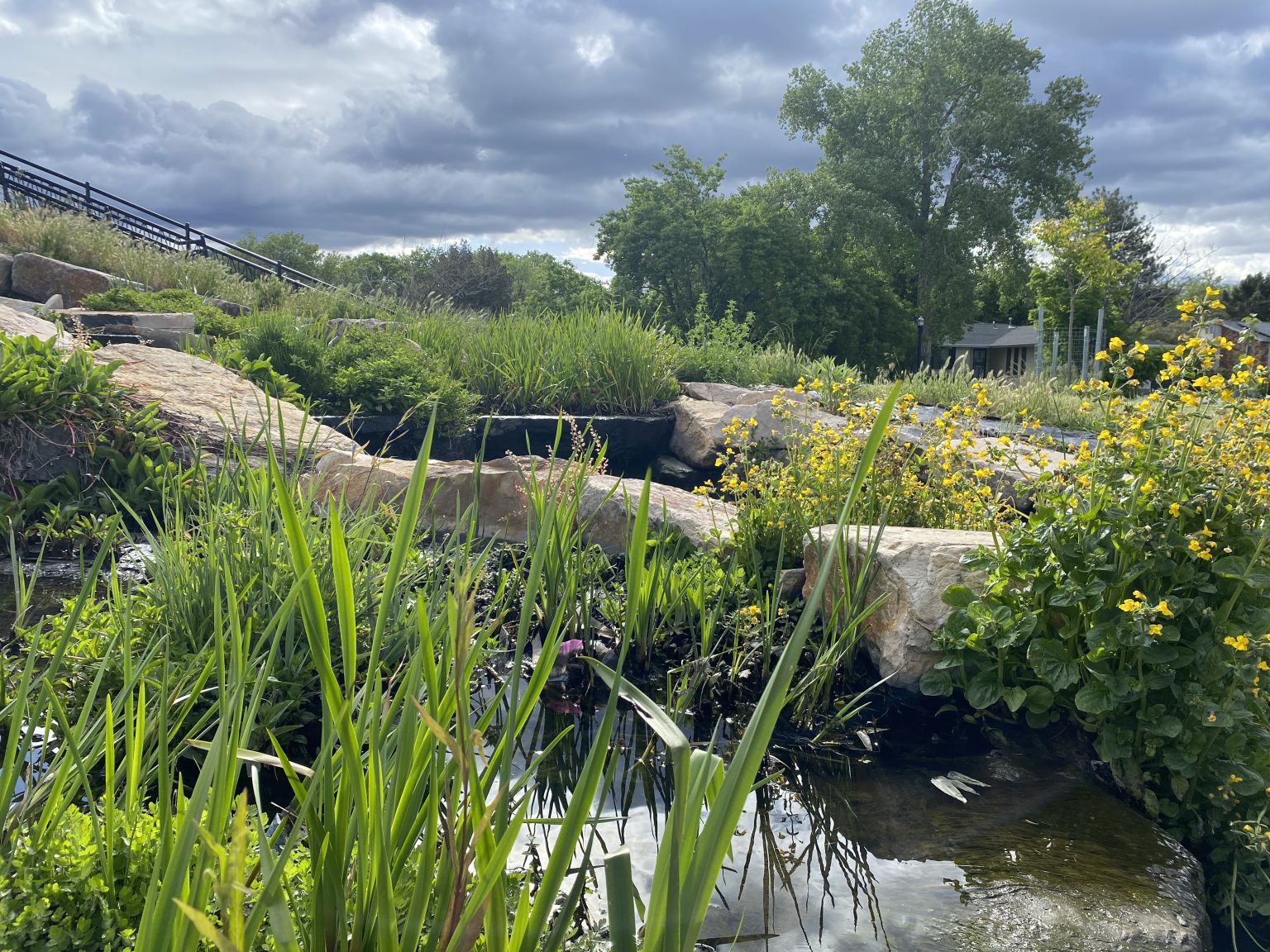 Trails and Natural Lands Nature Parks | Public Lands Department