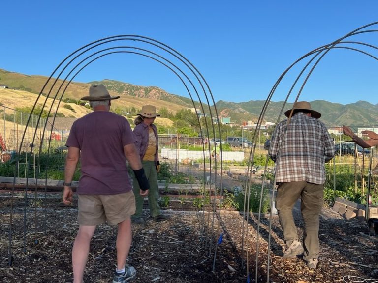 Wasatch Community Gardens | Public Lands Department