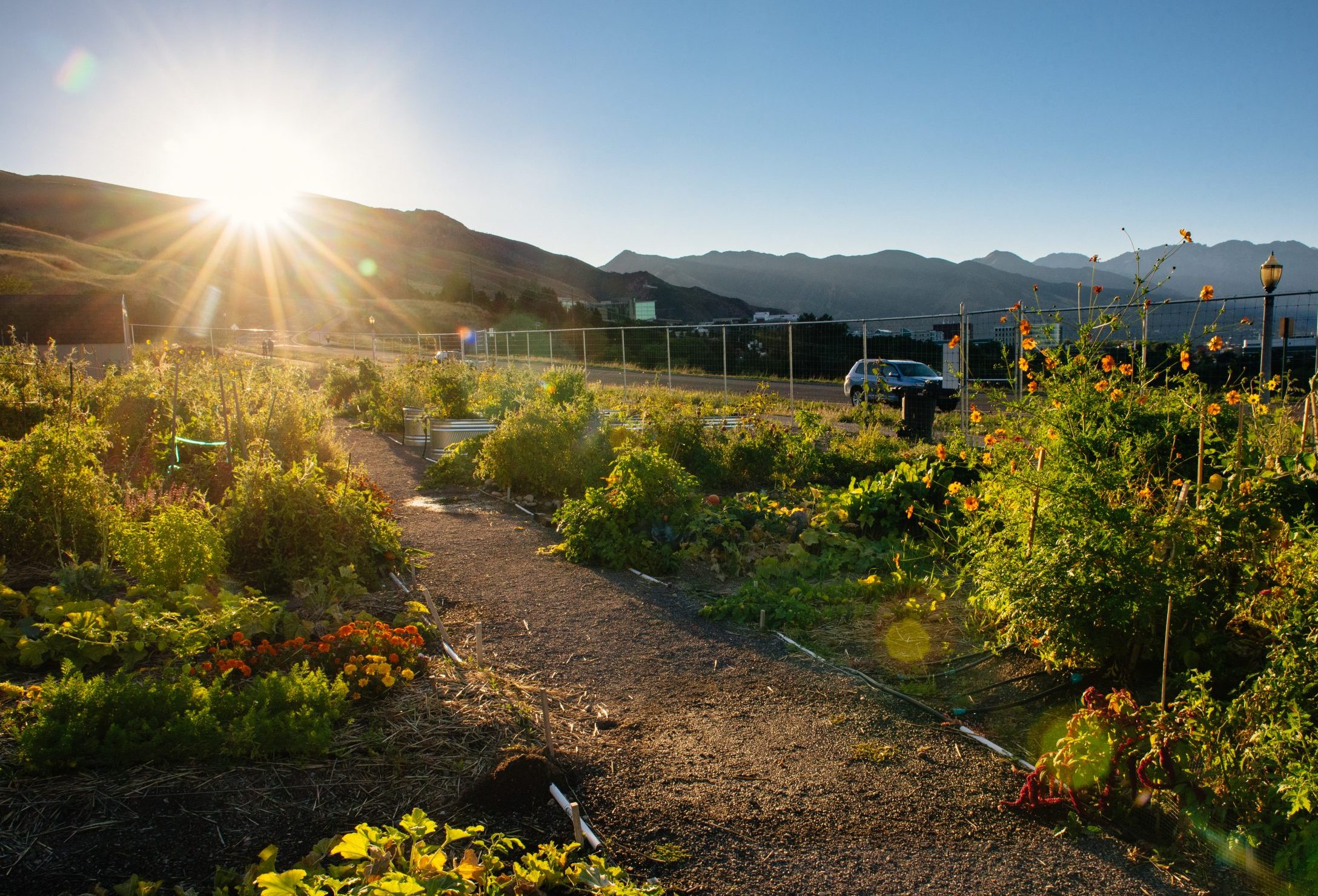 Wasatch Community Gardens | Public Lands Department