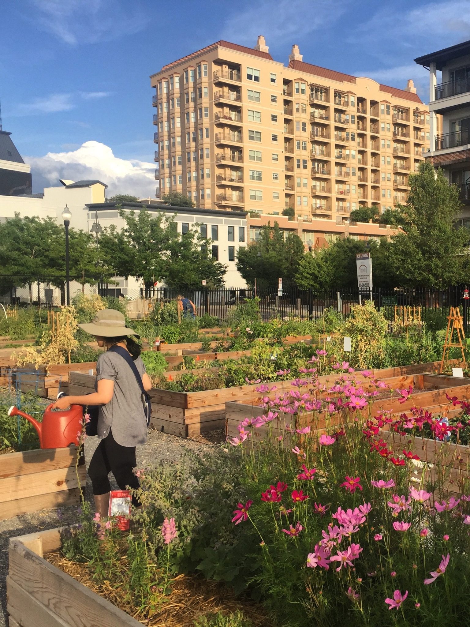 Wasatch Community Gardens | Public Lands Department
