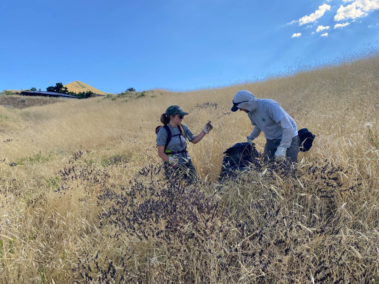 Salt Lake City Foothills Trail System | Public Lands Department
