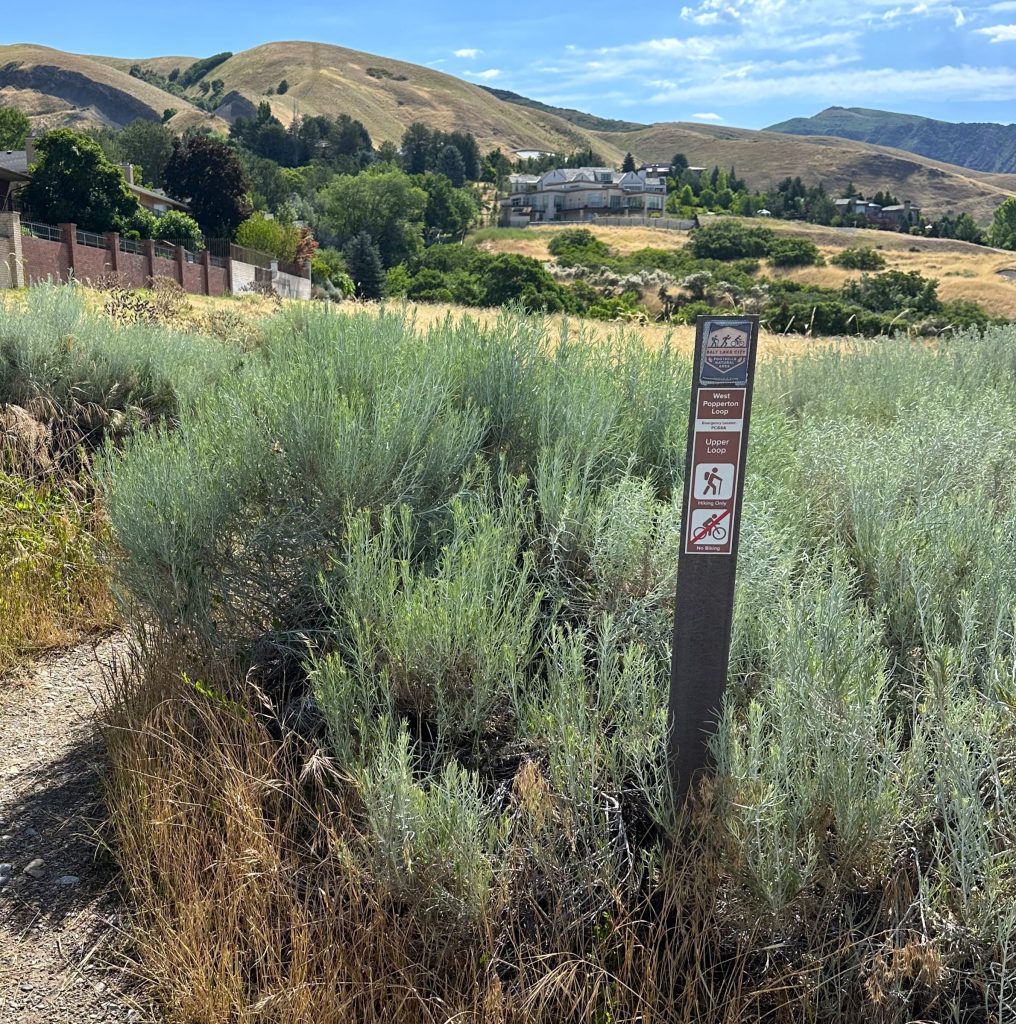 Salt Lake City Foothills Projects | Public Lands Department