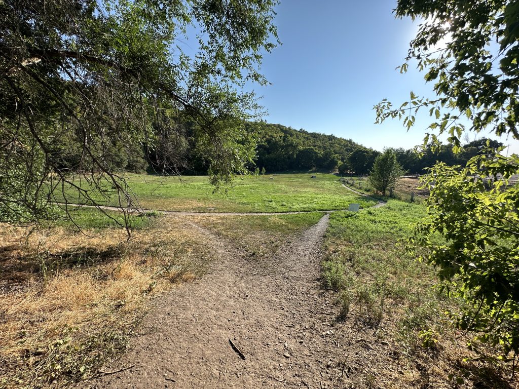 Social Trails in the Foothills | Public Lands Department