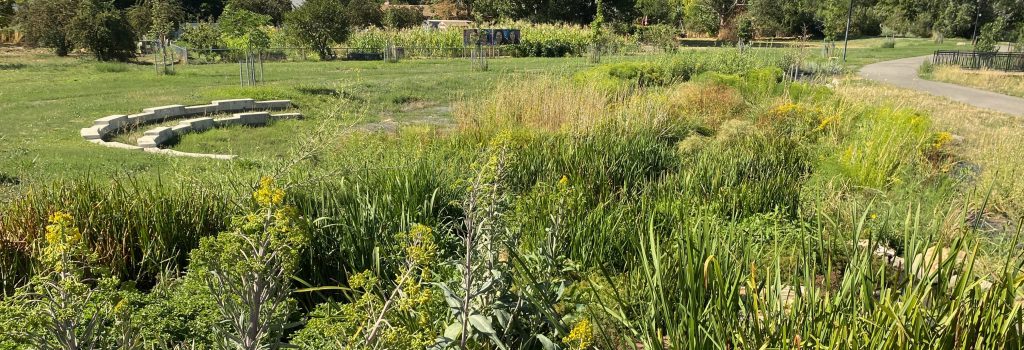 Cornell Wetlands Blog | Public Lands Department
