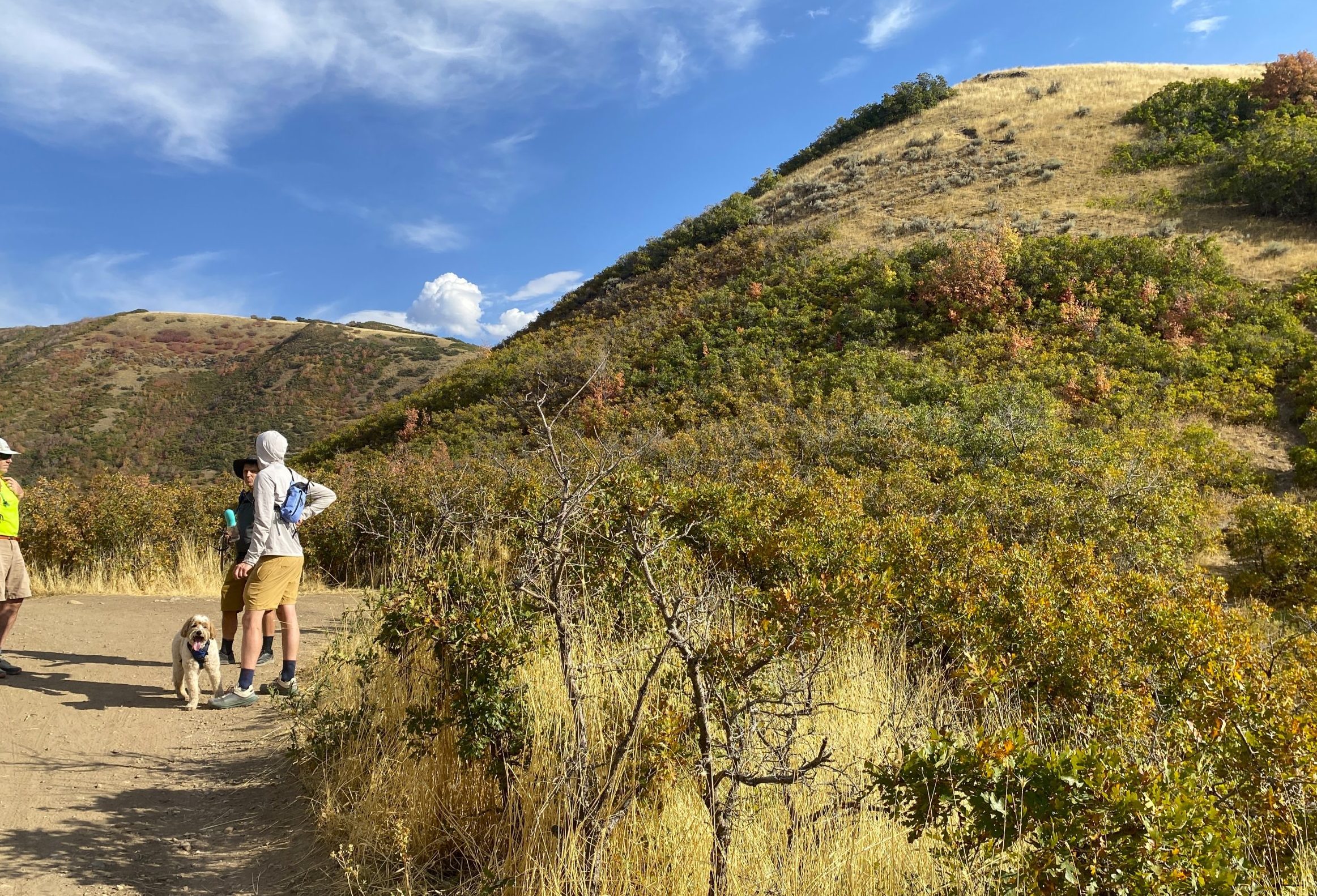 Foothills Welcome Station Project [ARCHIVED] | Public Lands Department