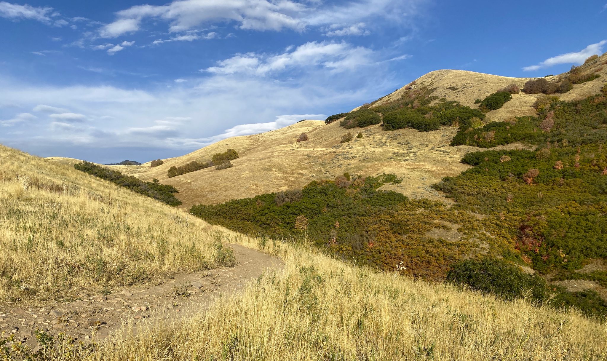 Foothills Plan Main Page | Public Lands Department