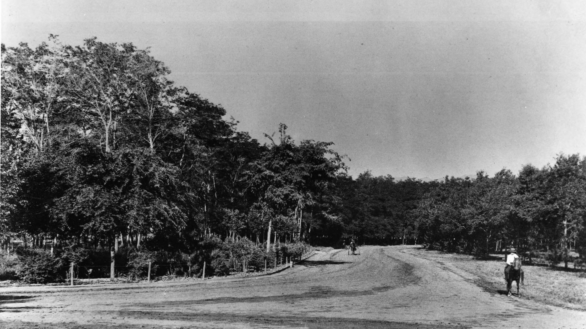 The History & Future of Liberty Park | Public Lands Department