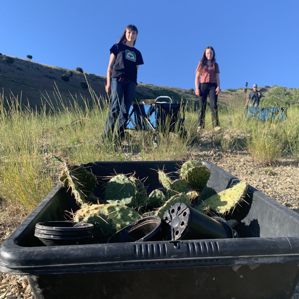 SLC Be WILD | Public Lands Department