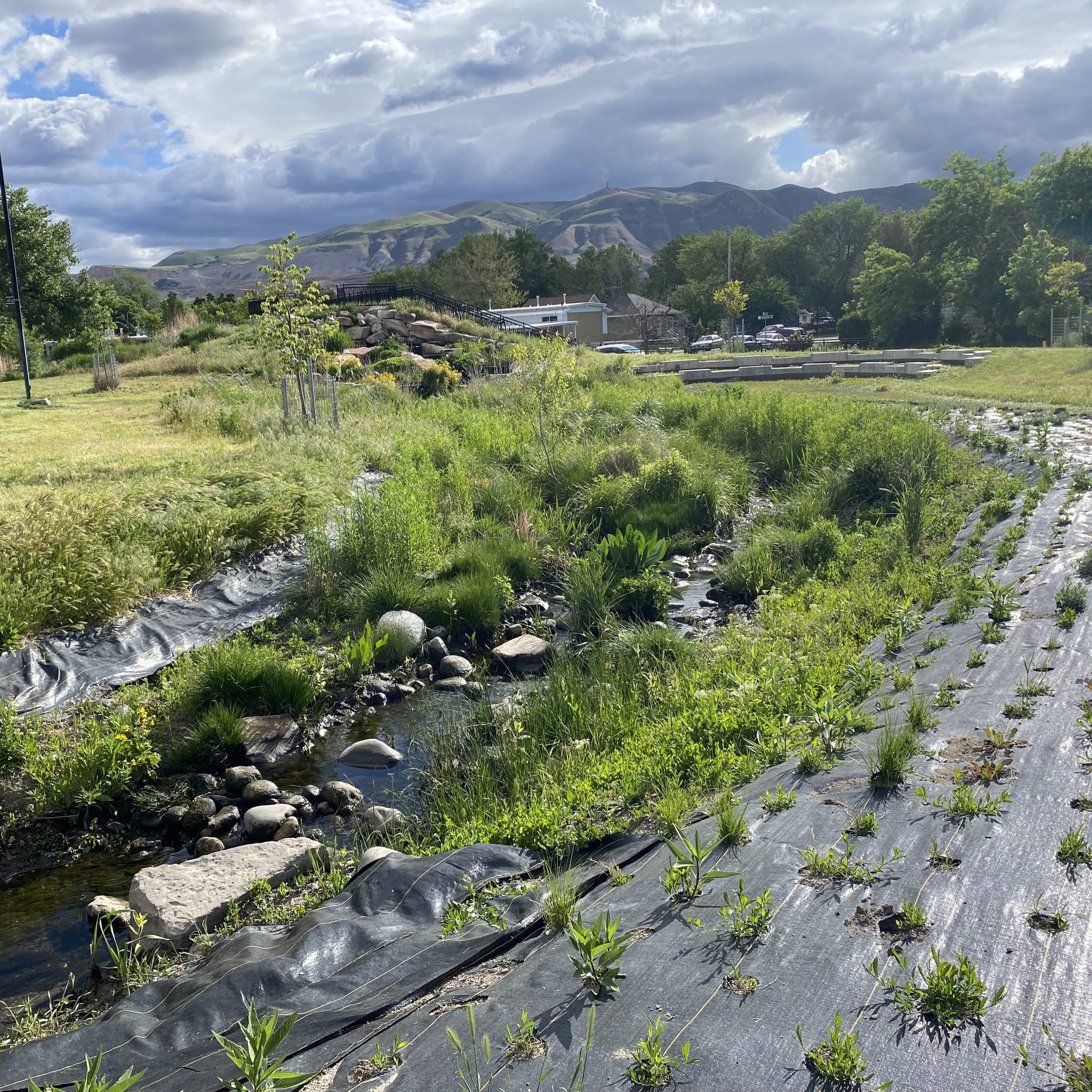 Trails and Natural Lands Home | Public Lands Department