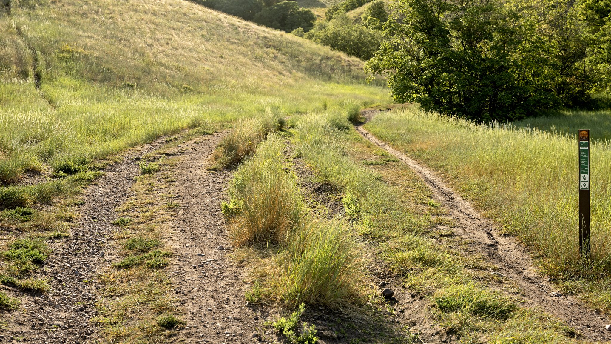 Social Trails in the Foothills | Public Lands Department