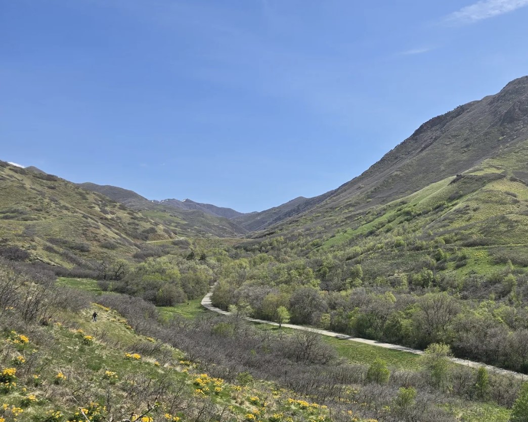 Mt Wire, Red Butte, Mt Van Cott, The U Trail Routes | Public Lands ...