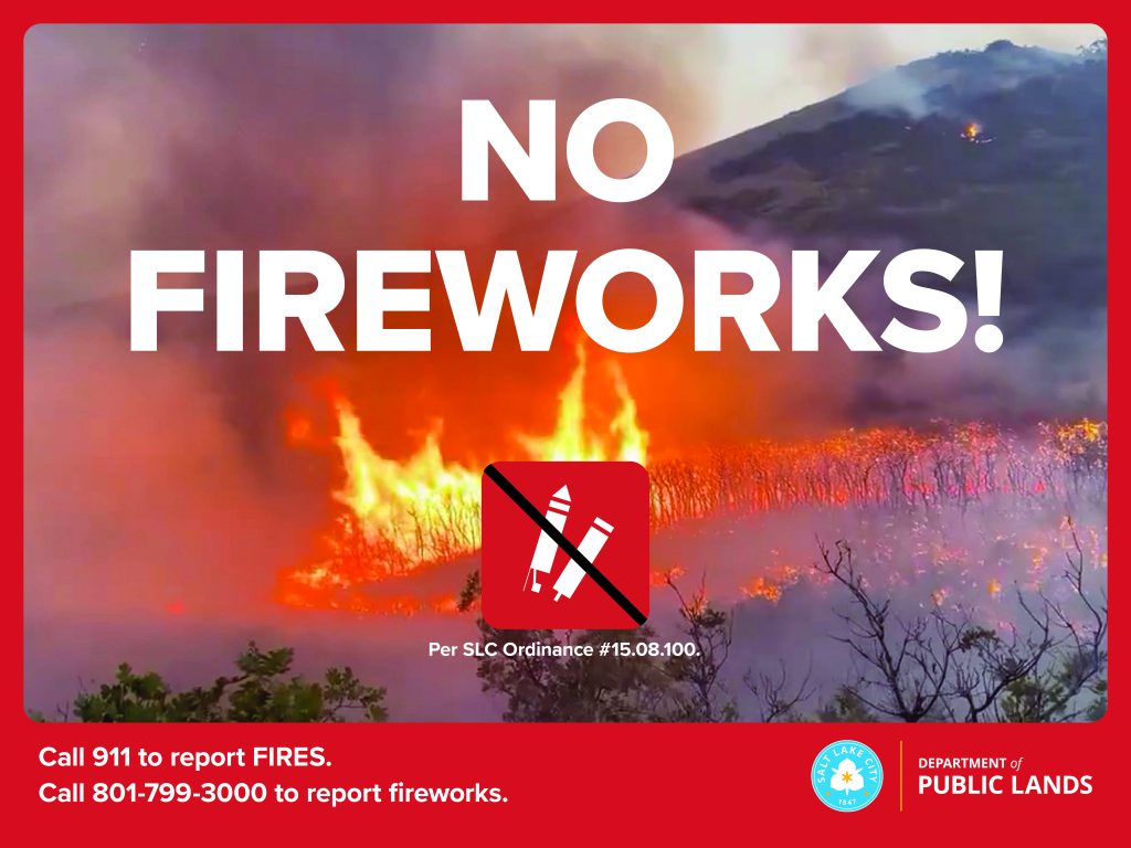 Fireworks and Fire Danger | Public Lands Department