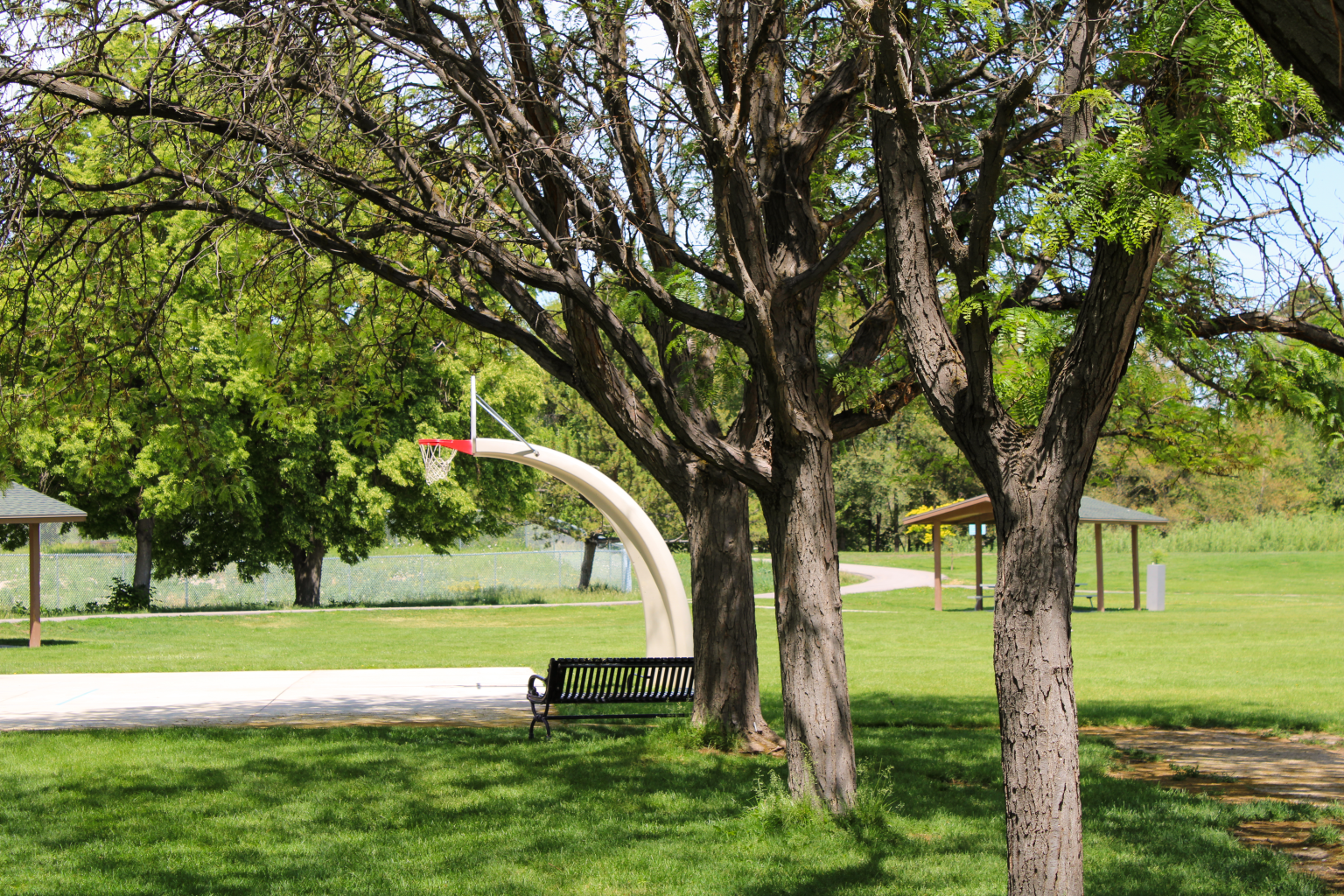 Learning About Trees with Rowland Hall Fifth Graders | Public Lands ...