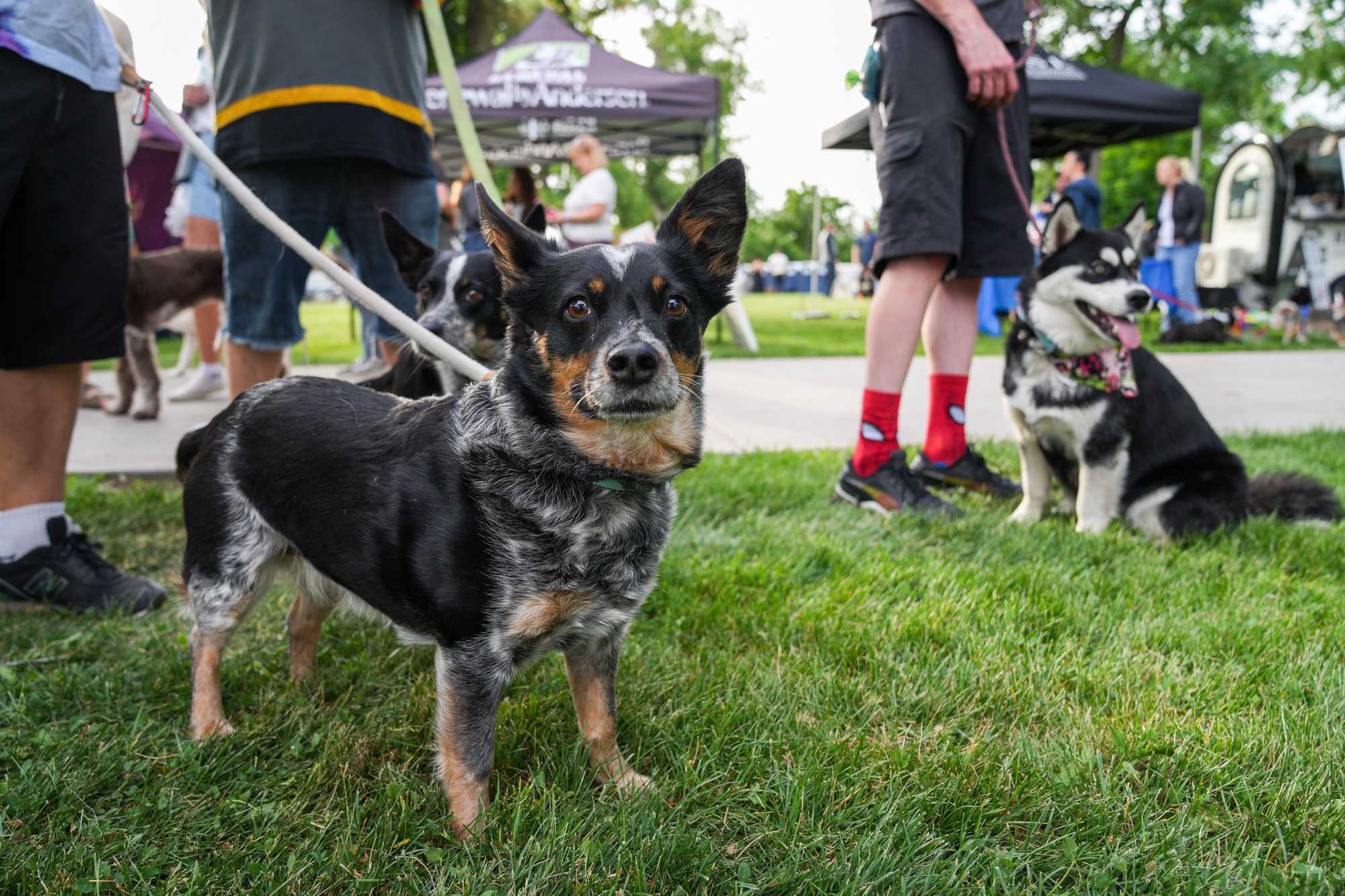 Salt Lake City Community Events are Back and Better Than Ever! | Public ...