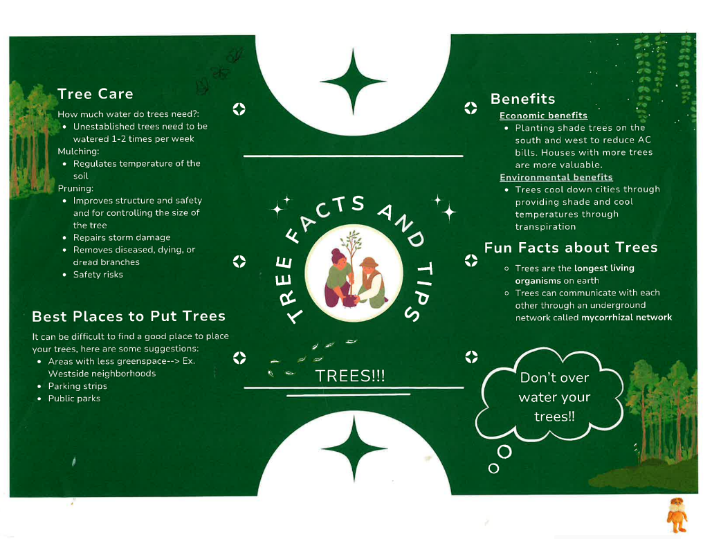 Learning About Trees with Rowland Hall Fifth Graders | Public Lands ...