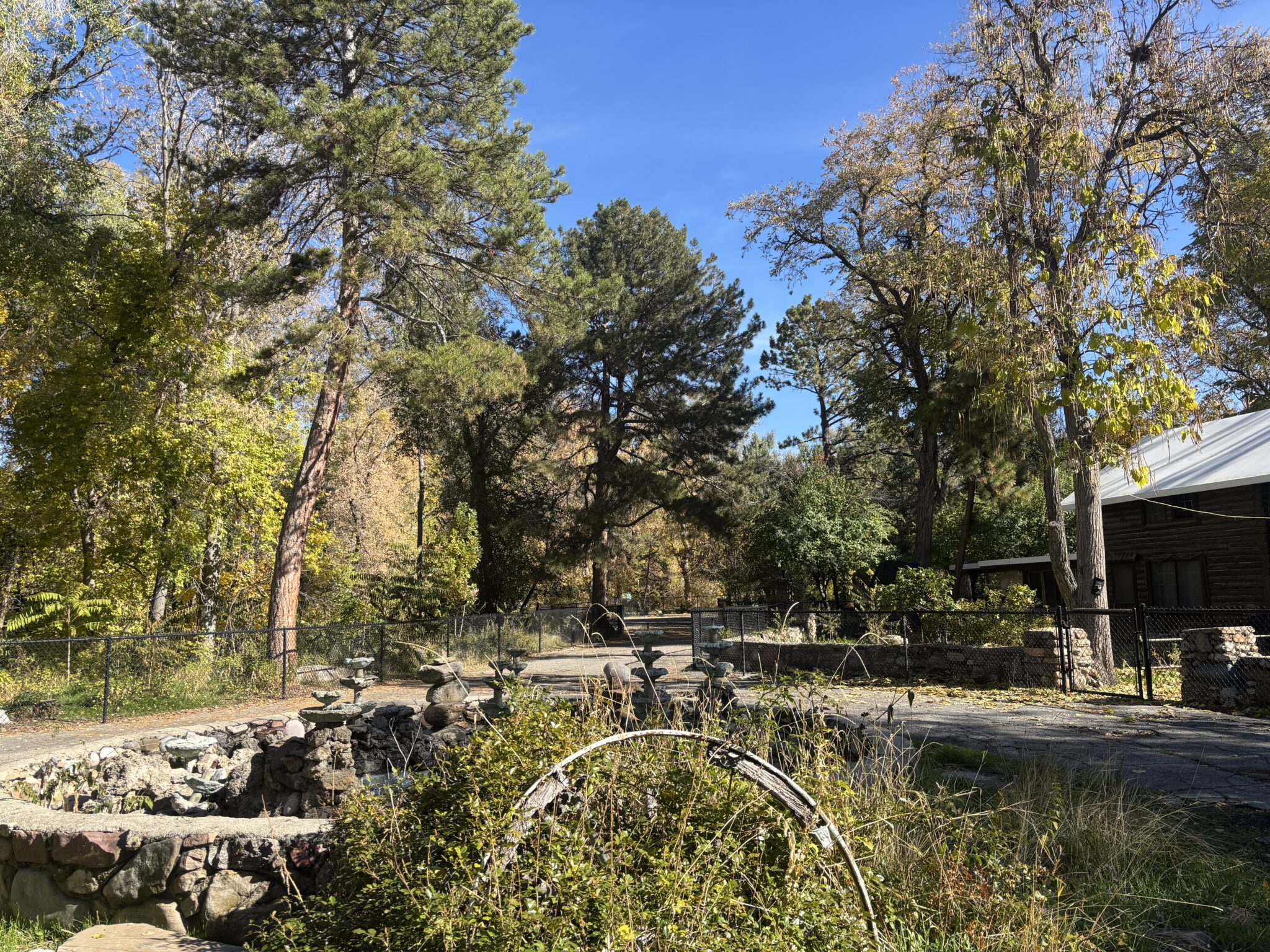 Allen Park: The Hidden Gem of SLC Public Lands | Public Lands Department