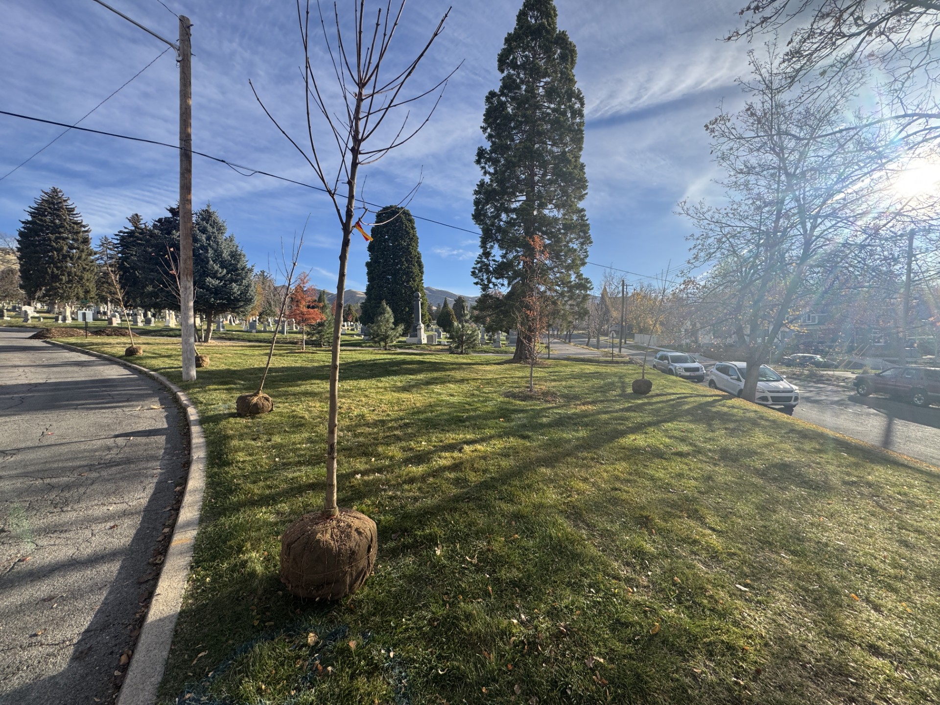 Five years after a windstorm swept through SLC and knocked down 250 ...