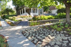 Landscaping and Buffers Code – What You Need to Know | Planning Division