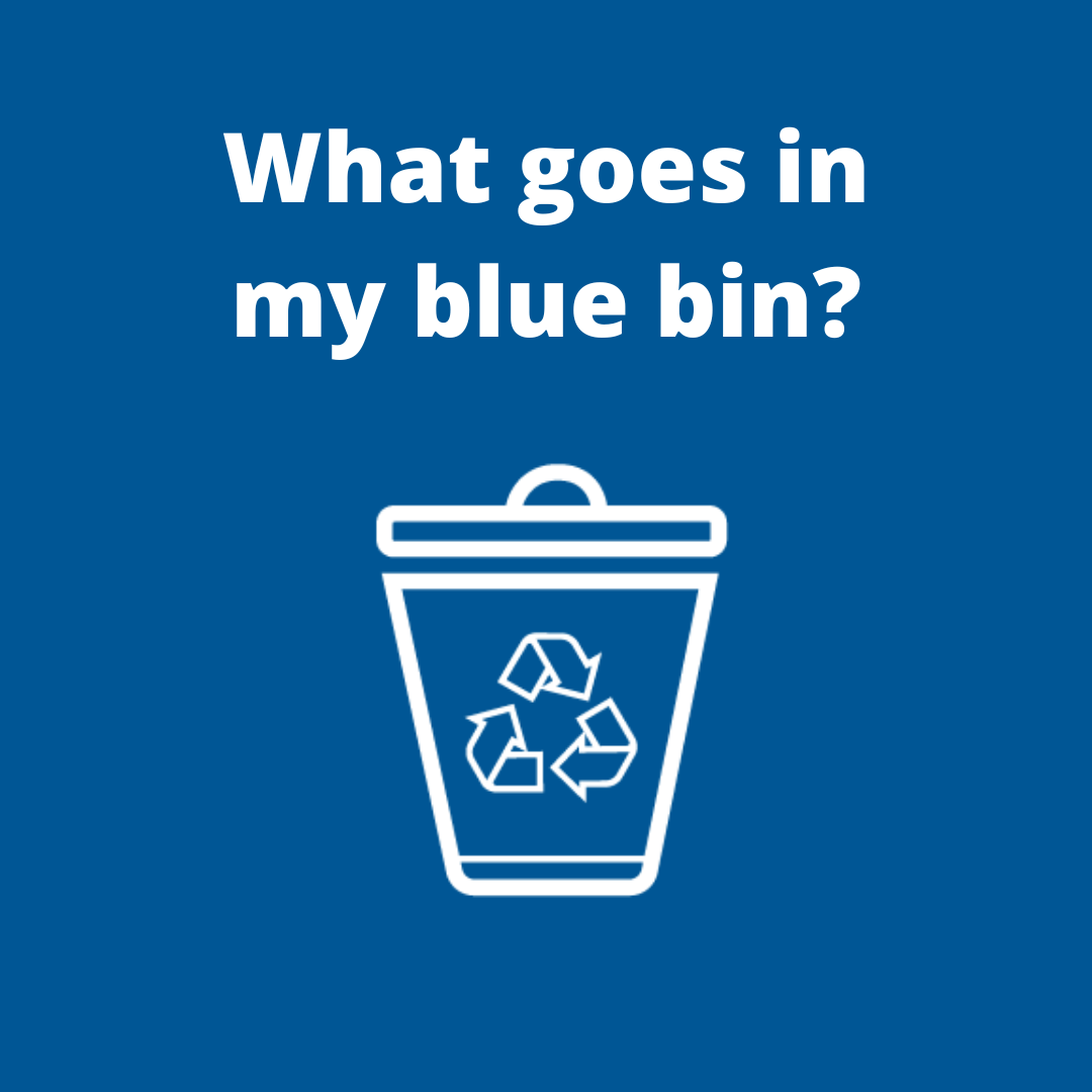 What Belongs in the Blue Bin? | Sustainability