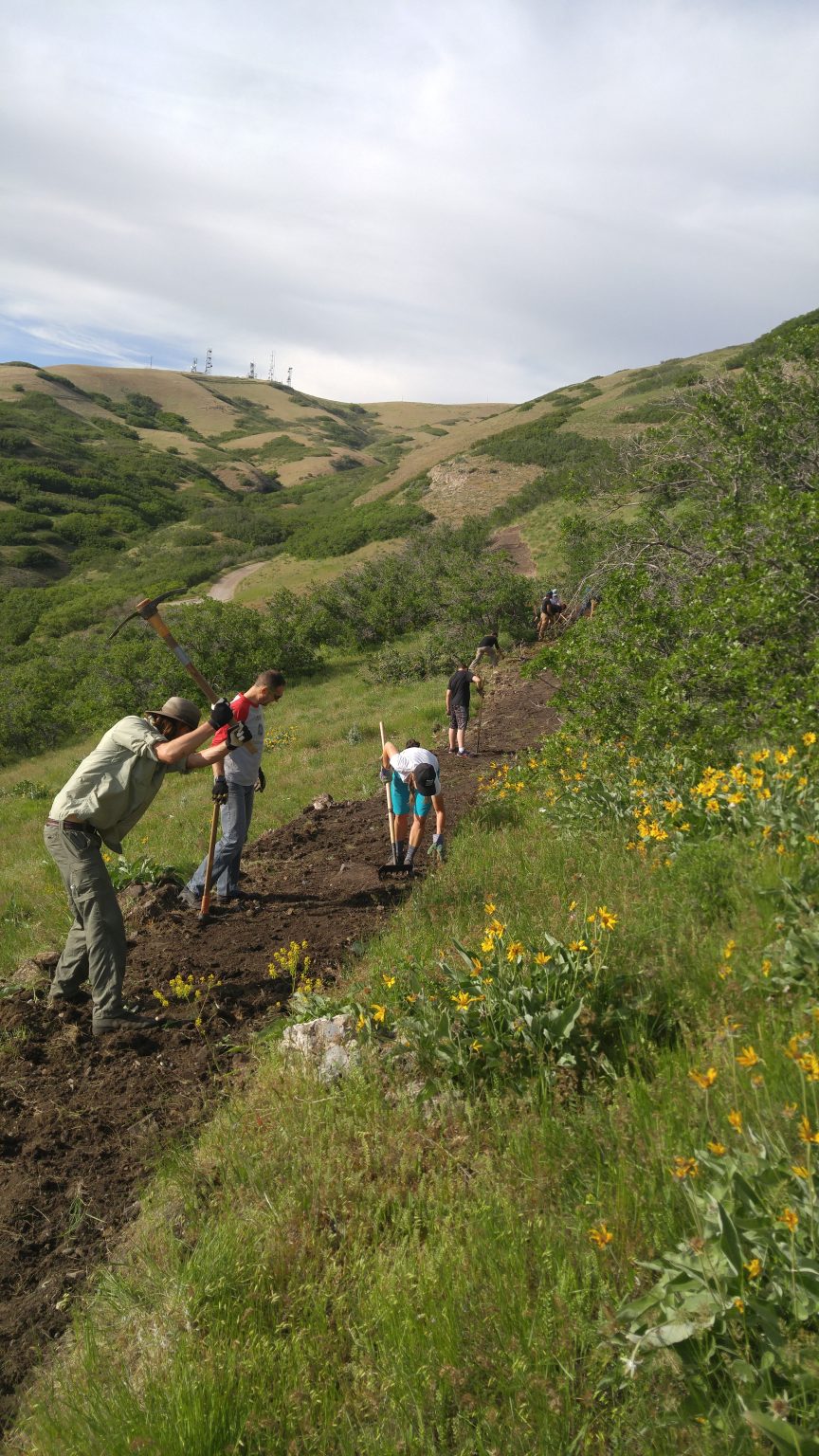Stewardship | SLC.gov